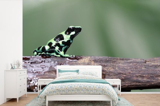 Behang - Fotobehang Kikker - Zwart - Groen - Breedte 390 cm x hoogte ...
