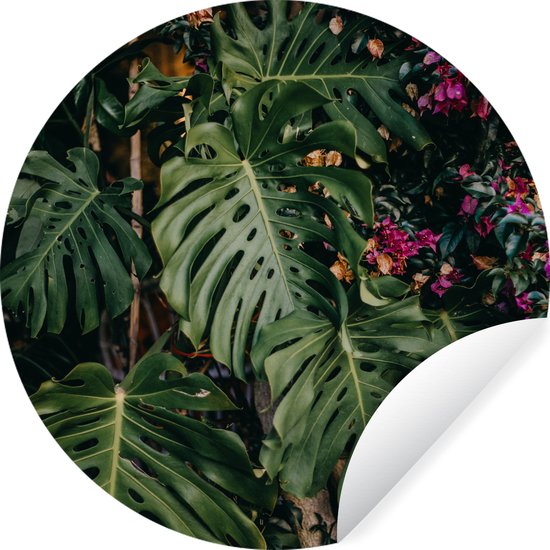 WallCircle - Muurstickers - Behangcirkel - Monstera (gatenplant) achtergrond - ⌀ 30 cm... | bol