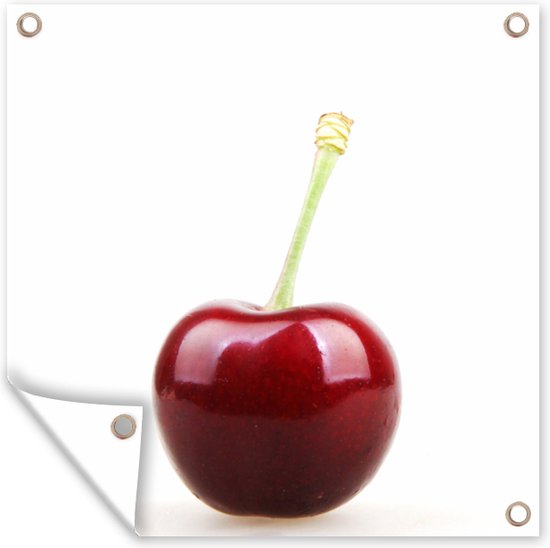 Tuin poster Kers - Wit - 200x200 cm - Tuindoek - Buitenposter | bol