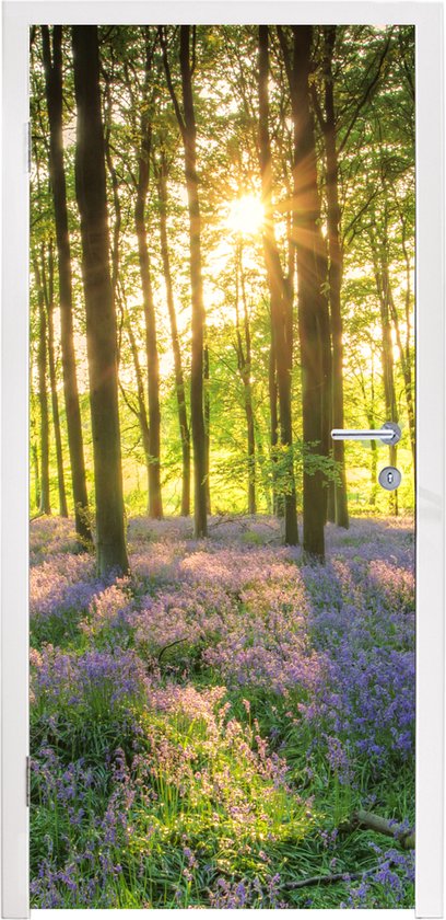 Deursticker Lente - Bos - Zon - 85x205 cm - Deurposter | bol.com