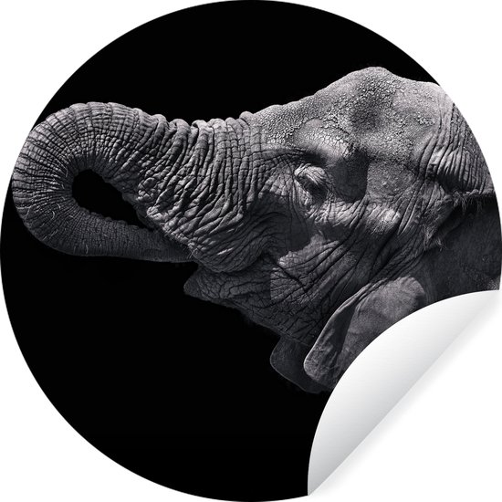 WallCircle - Muurstickers - Behangcirkel - Olifant - Dieren - Zwart - Natuur - 100x100... | bol