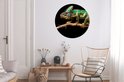WallCircle - Muurstickers - Behangcirkel - Kameleon - Tak - Groen - 100x100 cm -... | bol