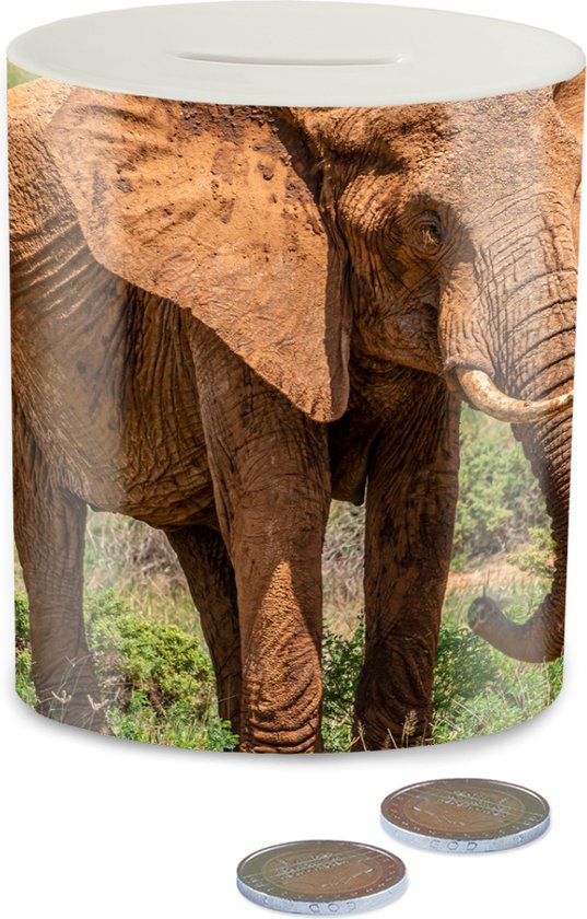 Spaarpot - Spaarblik - Baby olifant met zijn moeder in het gras ...