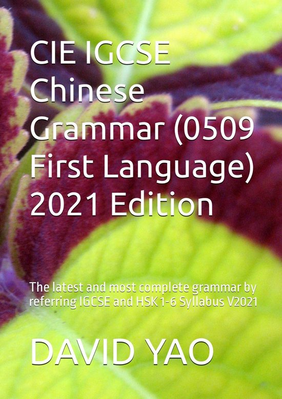 IGCSE Chinese - CIE IGCSE Chinese Grammar (0509 First Language) 2021 ...