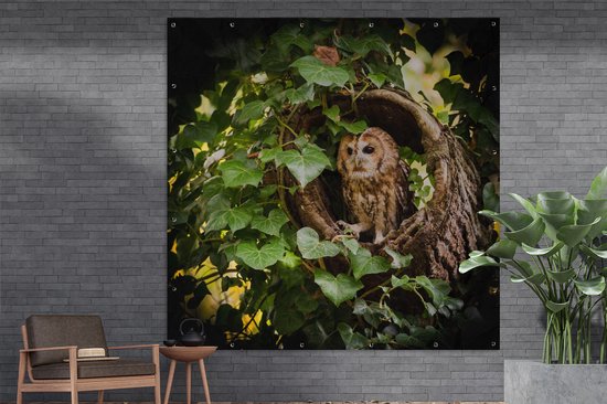 Tuin poster Een bosuil in een boomstam - 200x200 cm - Tuindoek ...