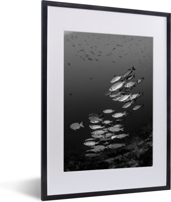 School vissen in de zee - zwart wit | bol.com