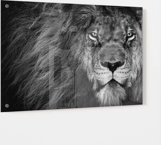 Leeuw Portret - Zwart Wit | 120x80 cm | Dieren Leeuw | Glas schilderij ... Leeuw Portret - Zwart Wit | 120x80 cm | Dieren Leeuw | Glas schilderij ...