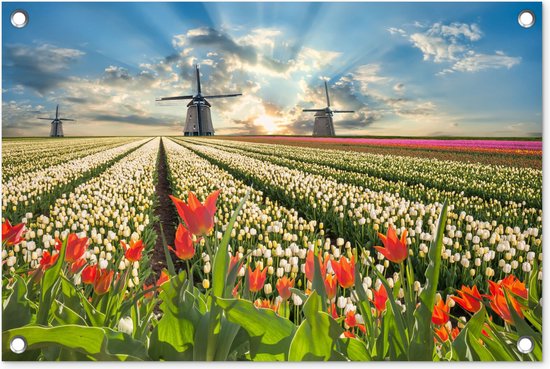Tuinposter bloemen - Tuindecoratie tulpen - 60x40 cm - Tuinschilderij voor buiten -... | bol