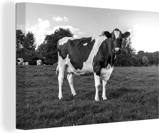 Tableau Peinture Vache Zwart et blanche dans le pré - noir et blanc ...