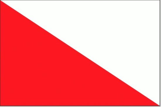 Vlag Utrecht stad 100x150cm | bol.com