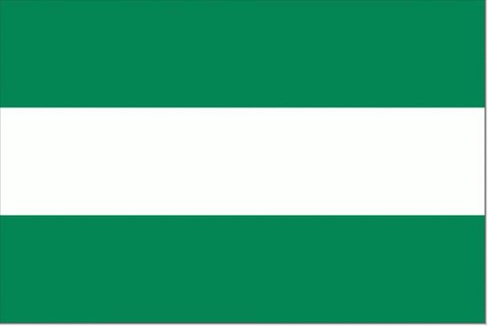 Vlag Rotterdam 100x150cm | bol