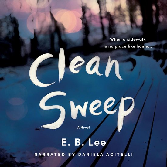 Clean Sweep, E. B. Lee | 9781736456033 | Boeken | bol.com