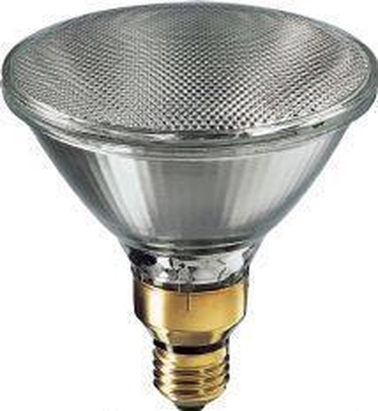 Philips HalogenA Pro PAR38 E27 65W 30D 111490 | bol.com