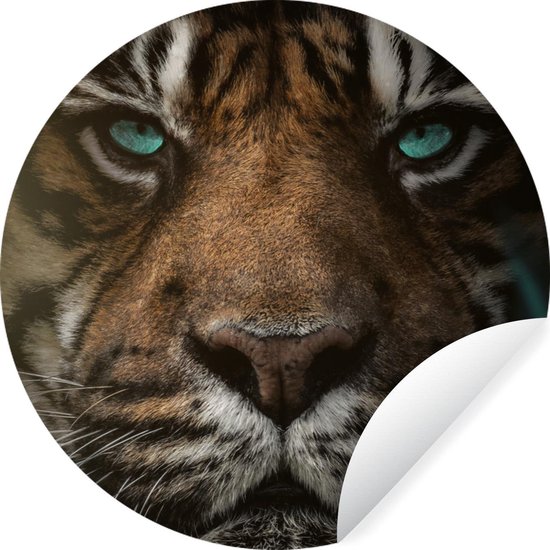 WallCircle - Muurstickers - Behangcirkel - Jungle - Tijger - Wilde dieren - ⌀ 120 cm -... | bol