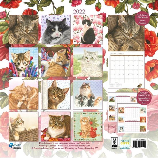 Huisdieren/dieren kalender 2022 poezen/katten getekend 30 cm -... | bol.com