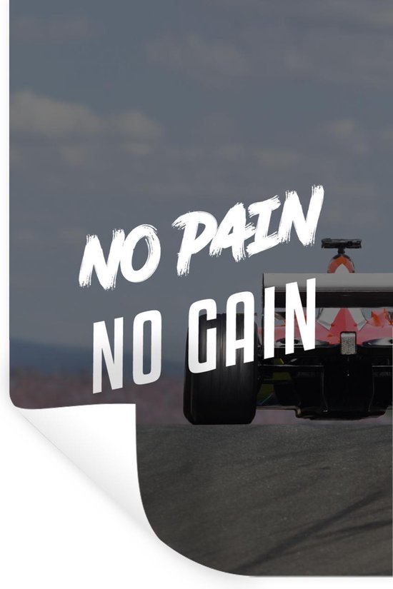 Muurstickers - Sticker Folie - 'No pain, no gain' - Spreuken - Quotes ...