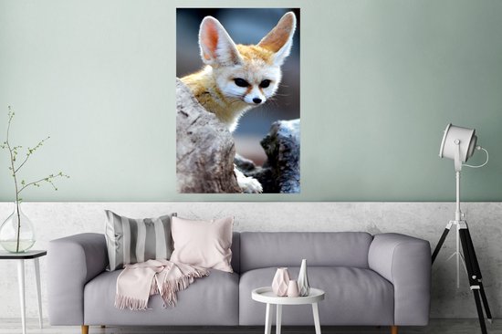 Fennek vos op een oude boomstam Poster 80x120 cm - Foto print op Poster (wanddecoratie... | bol.com