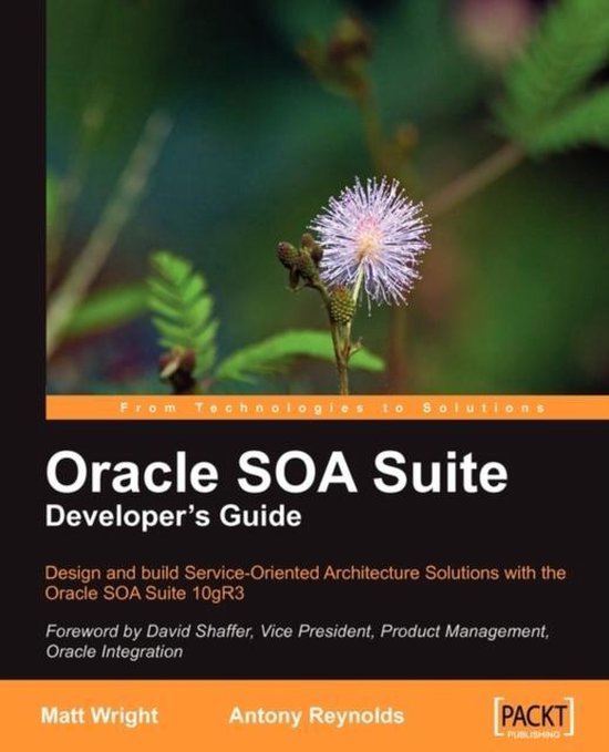 Oracle SOA Suite Developer's Guide | 9781847193551 | Antony Reynolds | Boeken | bol.com