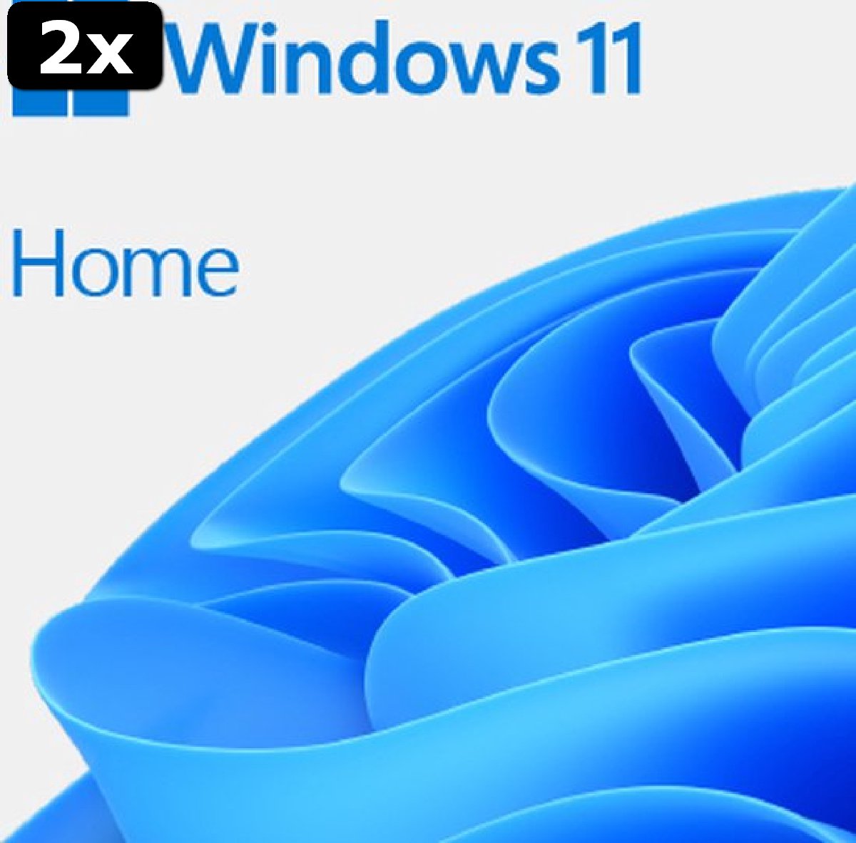 2x Microsoft Windows 11 Home 1 licentie(s) USB Nederlands | bol.com