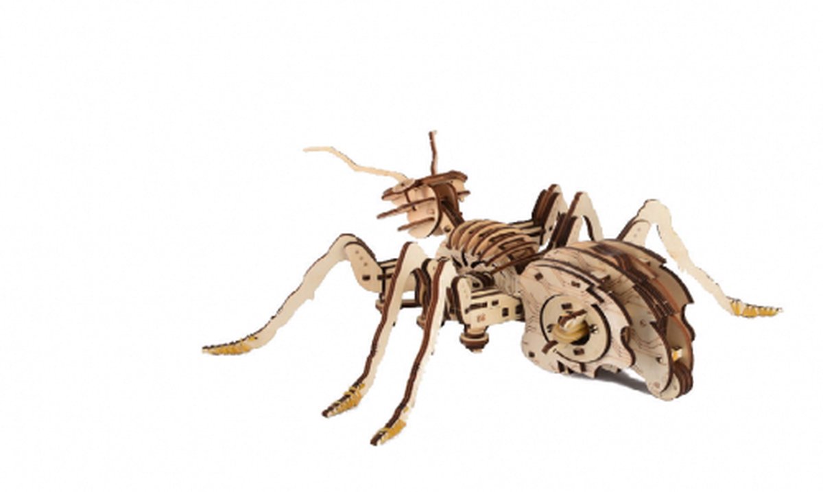 Bouwpakket Mier Insect van hout- mechanisch | bol.com