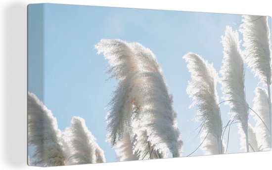 Canvas Schilderij Lucht - Gras - Pampasgras - 80x40 cm - Wanddecoratie | bol