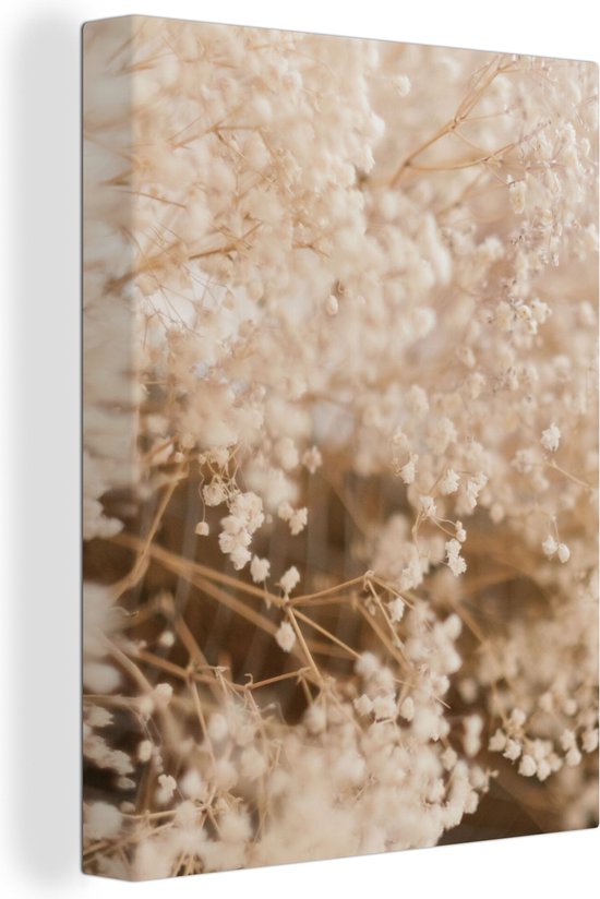 Canvas Schilderij Pampasgras - Plant - Natuur - 30x40 cm - Wanddecoratie | bol