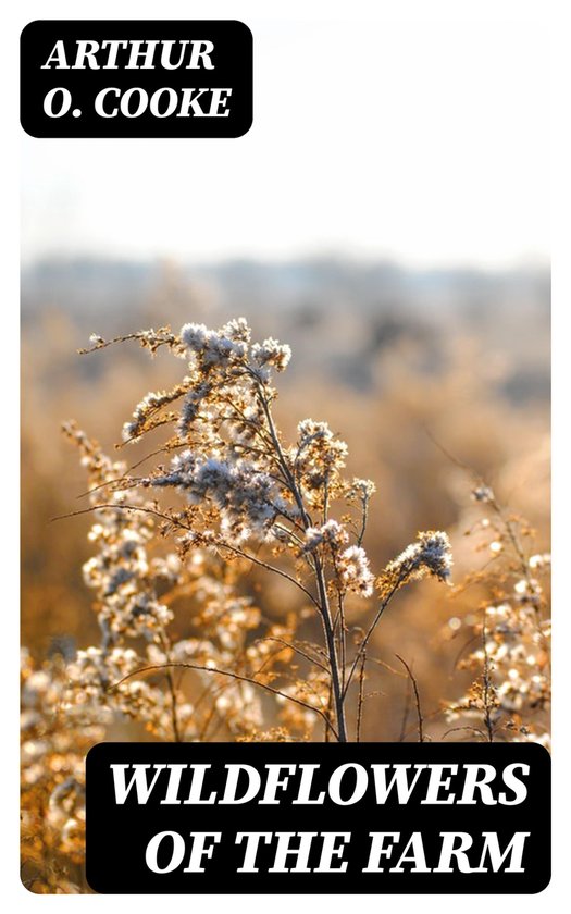 Wildflowers of the Farm (ebook), Arthur O. Cooke | 8596547378754 ...