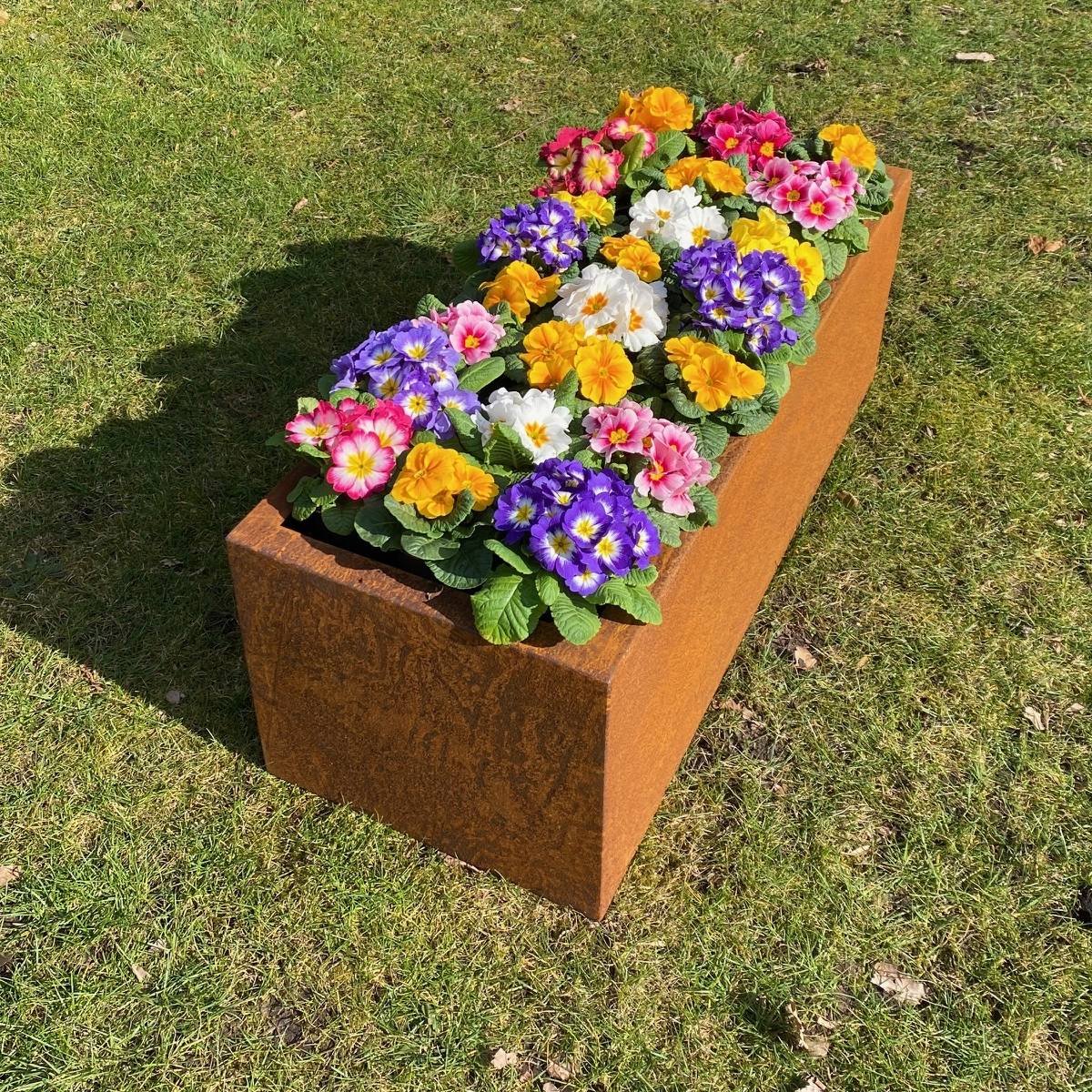 Plate-bande 100x60 Acier Corten - Jardinière - Surélevé | bol.com