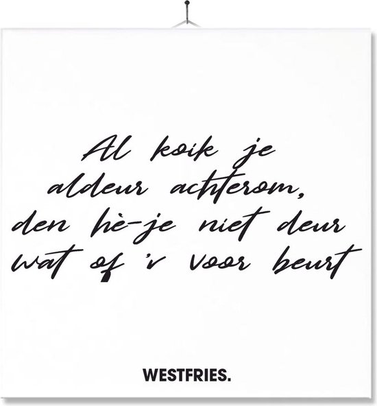 Tegel Met Opdruk | Grappig | Humor | Verjaardag kado | Westfries | Al ...