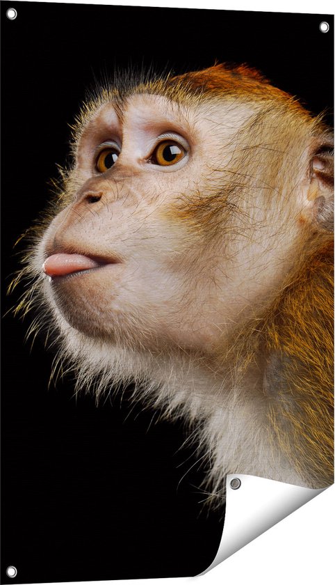 Gards Tuinposter Apenkop met Zijn Tong uit - Aap - 60x90 cm - Tuindoek ...