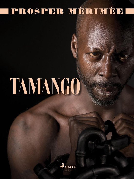 Tamango (ebook), Prosper Mérimée | 9788726794519 | Boeken | bol.com