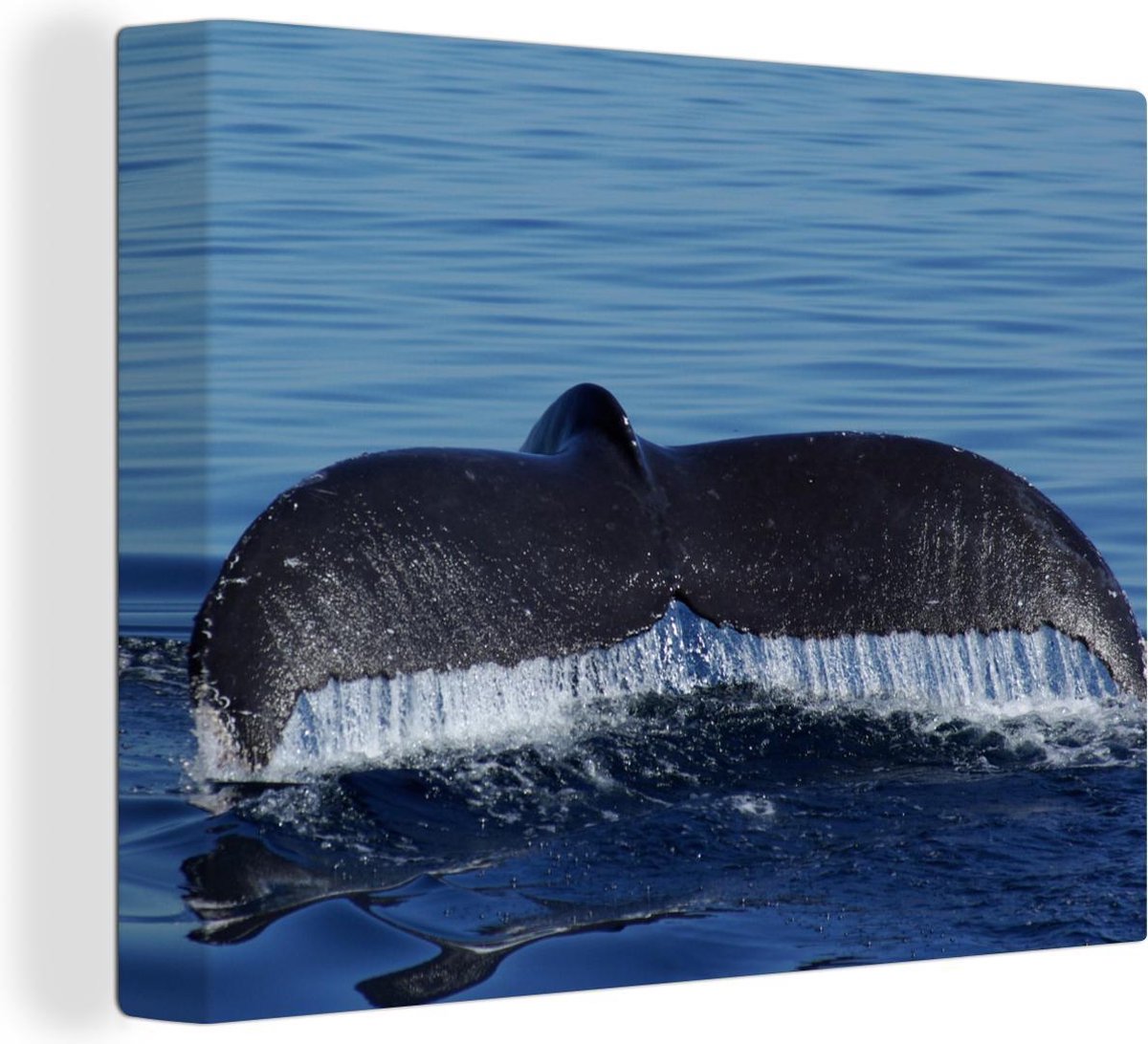 Canvas Schilderij Walvis - Staart - Blauwe vinvis - 40x30 cm ...
