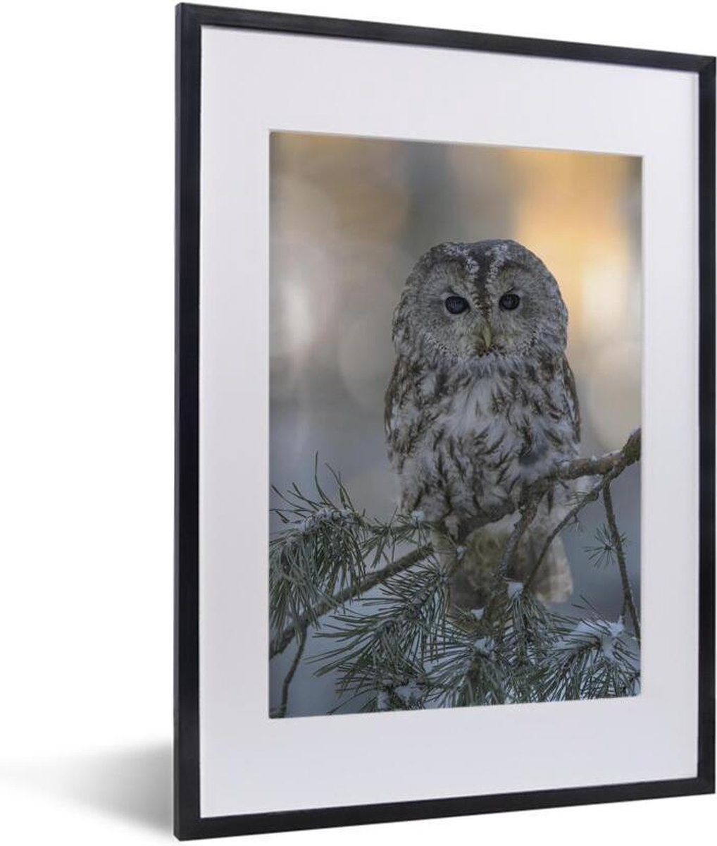 Fotolijst incl. Poster - Een close-up van een bosuil op een besneeuwde ...
