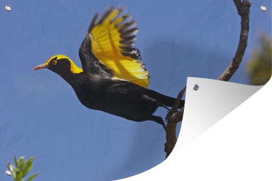 Tuinposters buiten Prieelvogel vliegt weg van een takje - 90x60 cm ...
