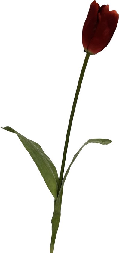 Zijden kunstbloem Tulp | Rood | Lengte 79 centimeter | bol