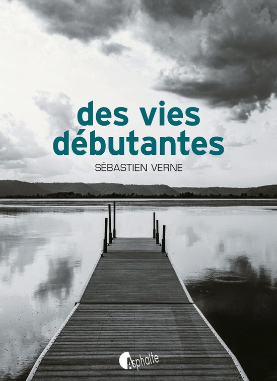 Des vies débutantes (ebook), Sebastien Verne | 9782365330916 | Boeken | bol
