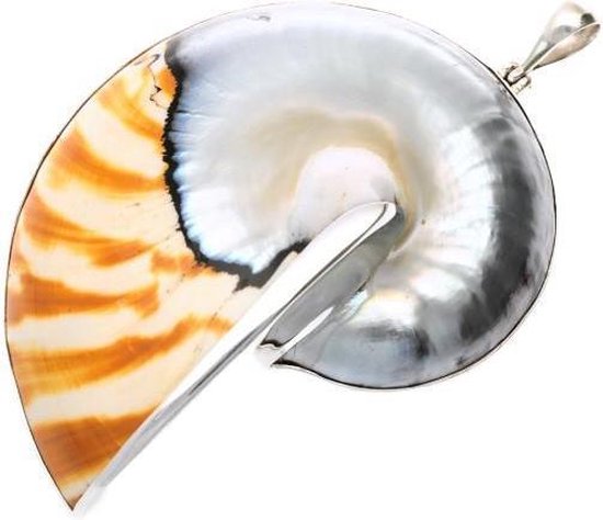 Zilveren Nautilus schelp XL kettinghanger | bol.com