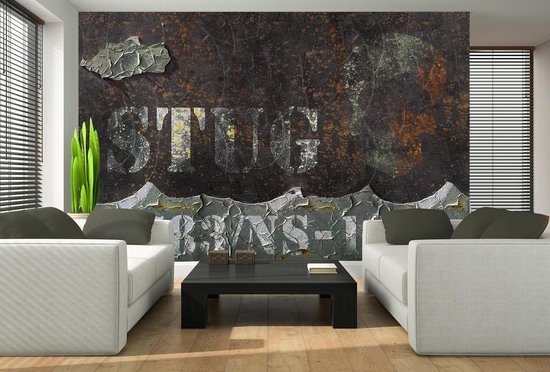 Fotobehang - Vlies Behang - Oude Roestige Muur met Schedel - 312 x 219 ...