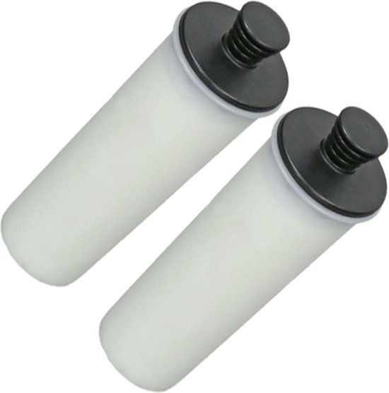 Descaler Filter Cartridge voor Karcher SC3 Stoomreiniger - Pack van 2 | bol