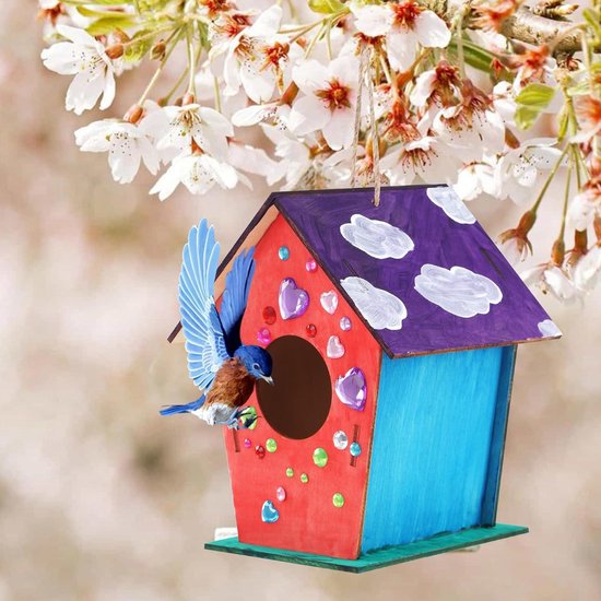Vogelhuisje DIY Houten Bulk Build & Paint Speelgoed - Leuk Vogelhuis ...