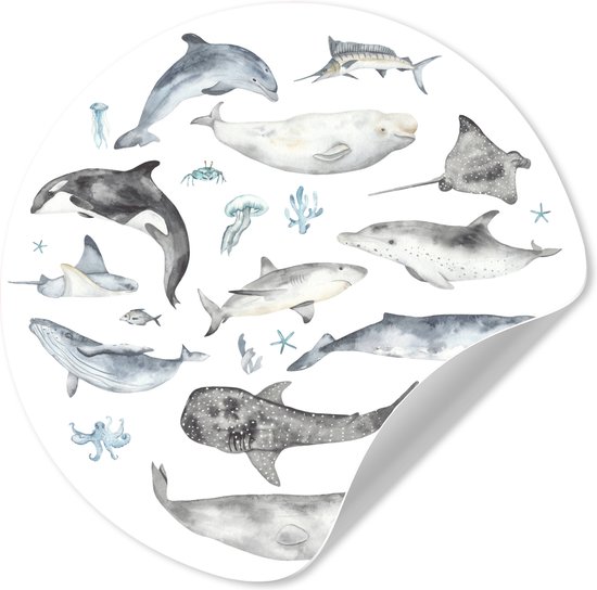 Behangcirkel - Muurstickers kinderkamer - Zeedieren - Waterverf - Blauw - Jongens -... | bol