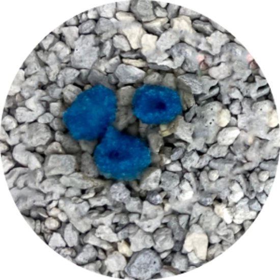 Odourlock Max Care - Kattenbakvulling met bloed- & glucose detectie ...