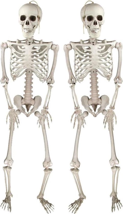 Décoration d'Halloween Squelettes debout réalistes pour intérieur et ...