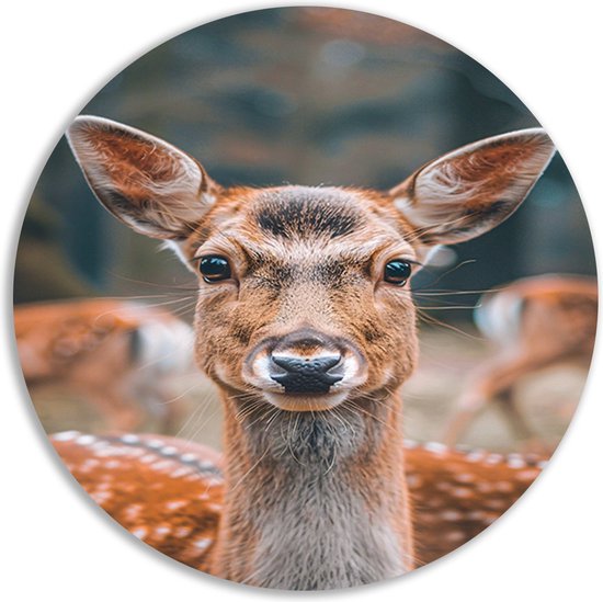 hert schilderij - dier rond schilderij - Wandschaal vacht ...