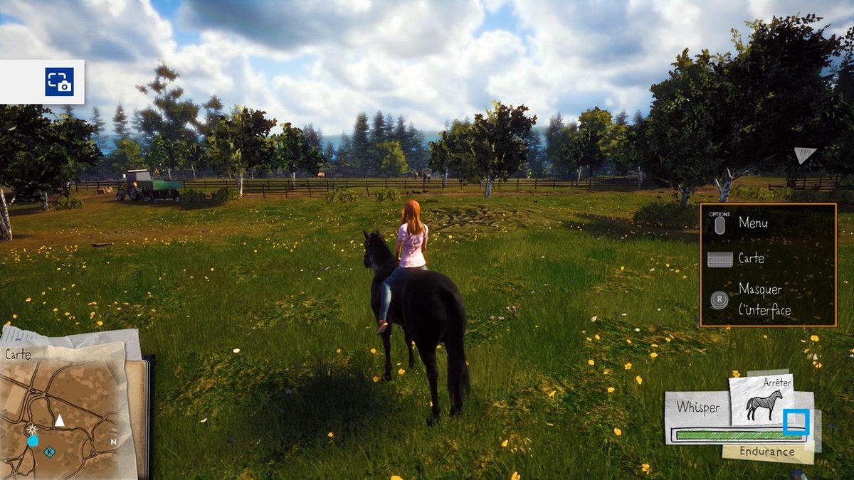 Windstorm | Games | bol.com