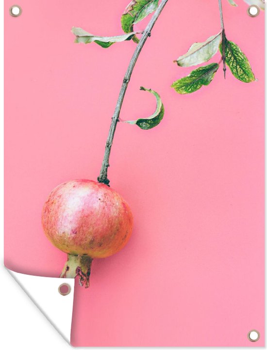 Tuinposter - Planten - Knol - Bloemen - Roze - Zomer - Tuin - 90x120 cm ...
