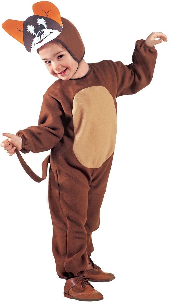 Muis & Rat Kostuum | Tekenfilm Muis Jerry Kind Kostuum | Maat 110 ...