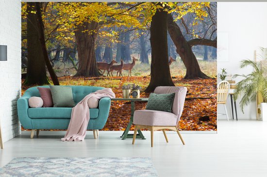 Behang - Fotobehang Herten in een bos in Denemarken - Breedte 600 cm x ...