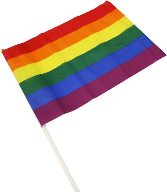 PRIDE | Pride - Lgbt Flag Medium Pennant | bol.com