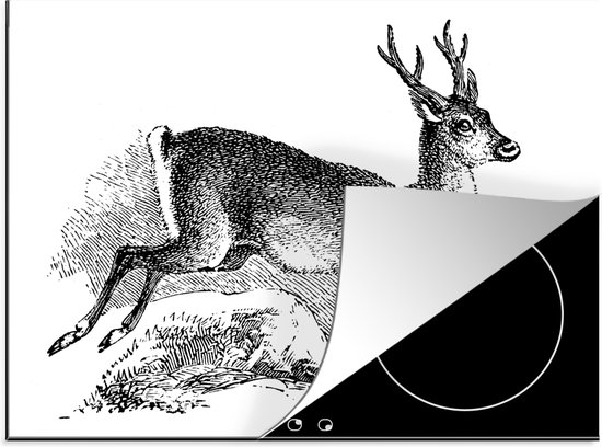 Inductie beschermer - Inductie Mat - Een geïllustreerde ree aan het ...